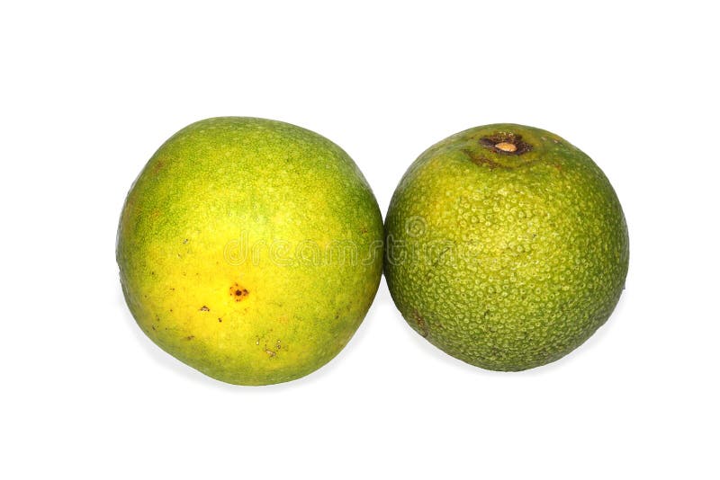 Fresh Mosambi Isolated on White Background Stock Image - Image of ...