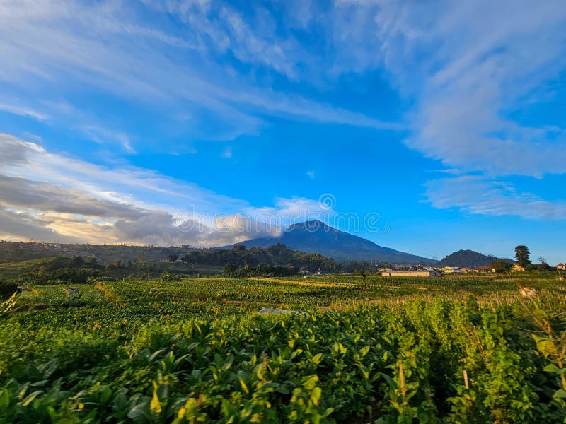 Fresh Mountains in Central Java, Indonesia Stock Photo - Image of fresh ...