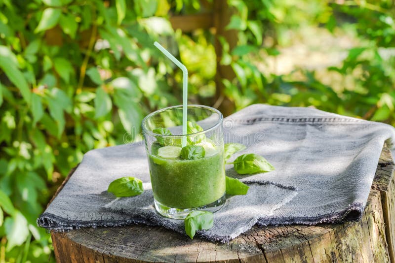 Fresh Mousse Cucumber Celery Basil Stock Photo - Image of basil ...