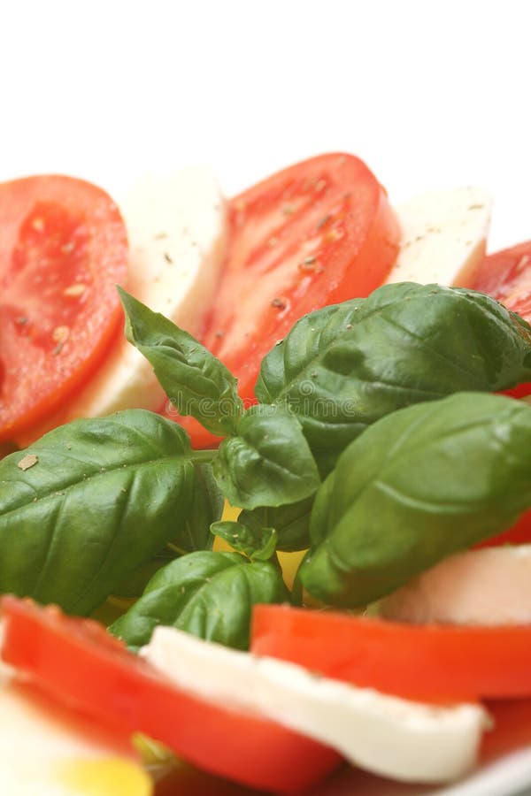 Fresh mozzarella stock photo. Image of green, basil, food - 4954472