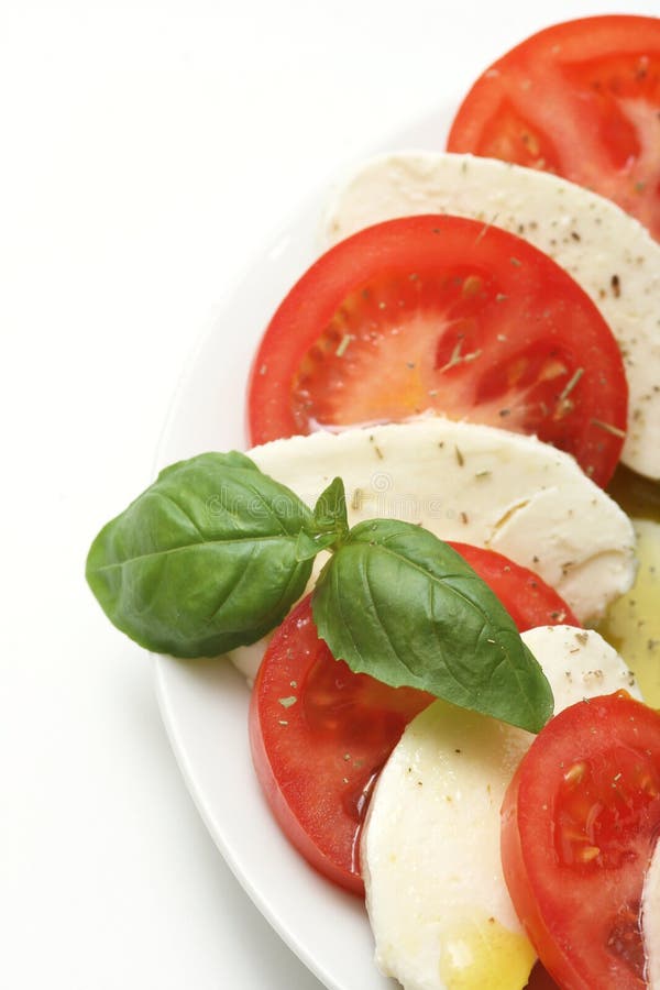 Fresh mozzarella stock photo. Image of basil, bowl, fresh - 5091296