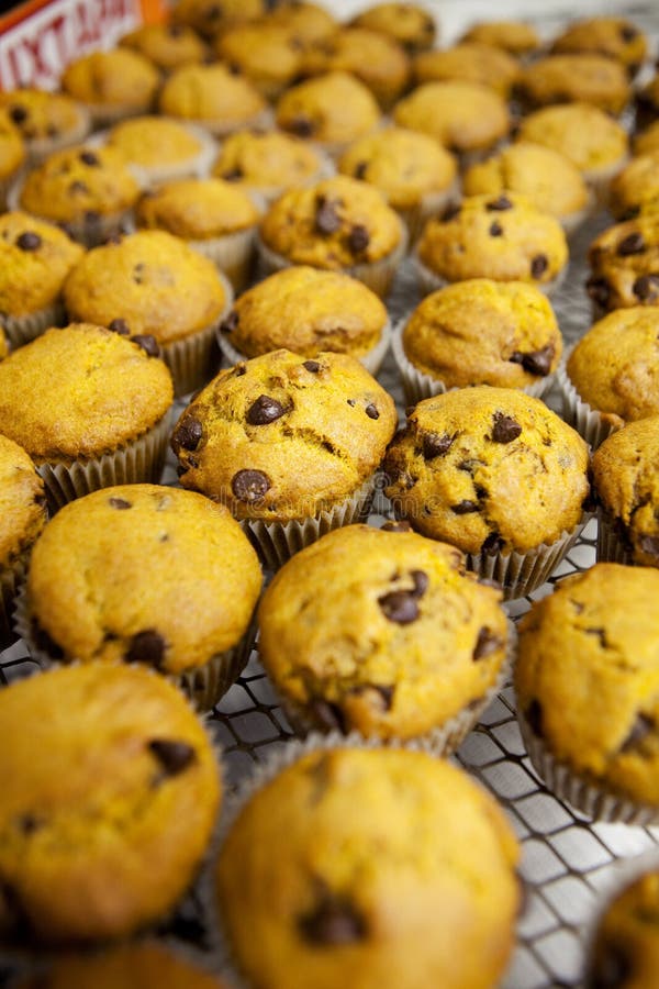 Fresh Muffins stock photo. Image of cupcakes, fresh, muffins - 10610966