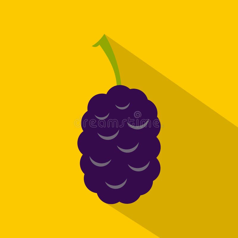 Fresh Mulberry Icon, Flat Style Stock Vector - Illustration of ...