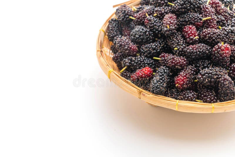 Fresh Mulberry on White Background Stock Image - Image of health, white ...