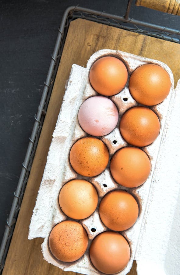 Fresh Multi-color Farm Eggs. Different Homemade Farm Eggs on a Tray ...