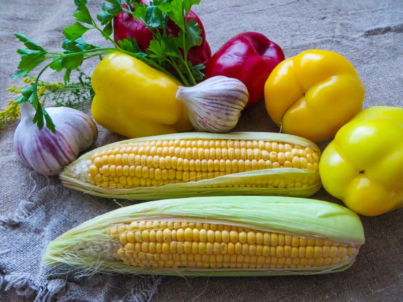 Fresh Multi-colored Vegetables on the Table with Greens Stock Image ...