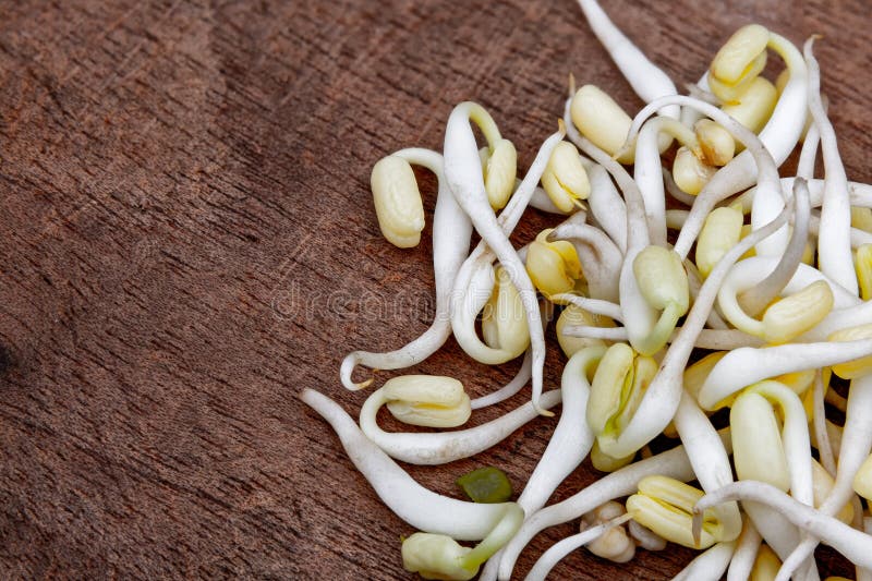 Fresh Mung Bean Sprouts on Wooden Surface. Macro Shot of Fresh Bean ...