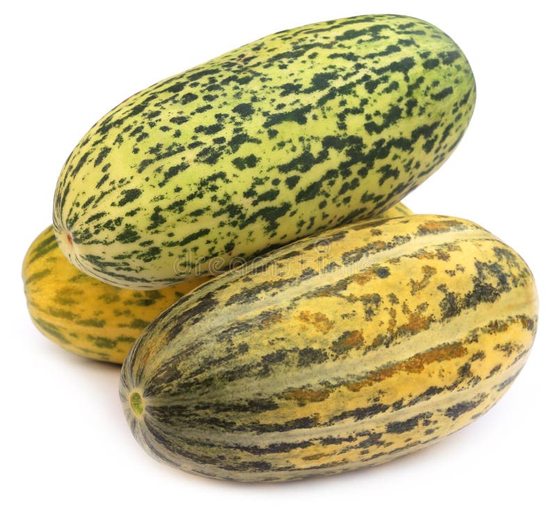 Fresh Mushkmelon stock image. Image of white, background - 46041037
