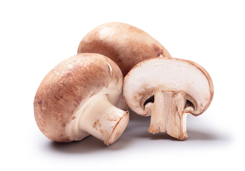 Fresh mushroom stock photo. Image of fresh, ripe, vegetable - 195587212