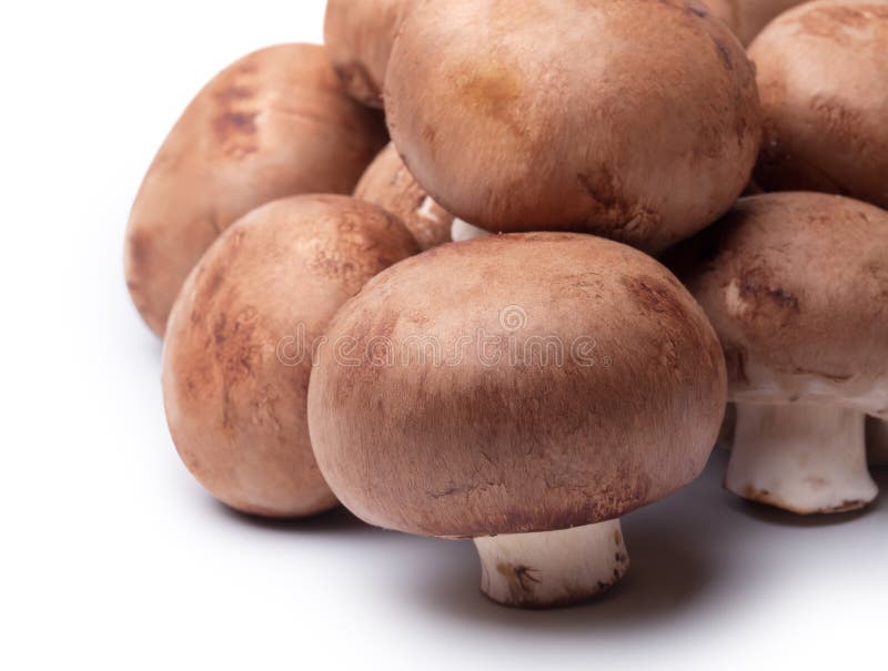 Fresh mushroom stock photo. Image of horizontal, isolated - 69269954