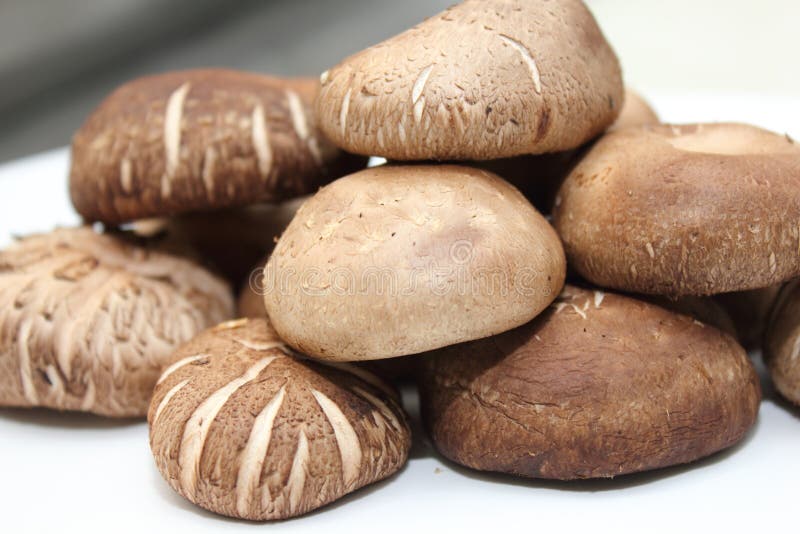 Fresh mushroom stock image. Image of fresh, nutrition - 31480357