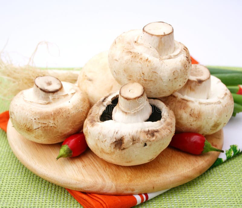 Fresh mushrooms stock photo. Image of food, vitamins - 11514326