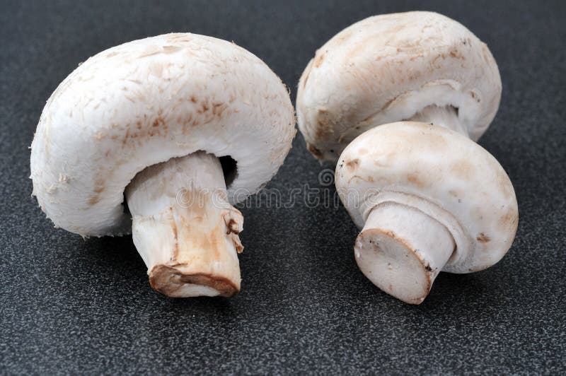 Fresh mushrooms stock photo. Image of button, edible - 12369592