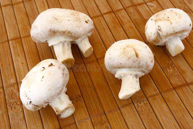 Fresh mushrooms stock image. Image of cook, fungi, gourmet - 14806497