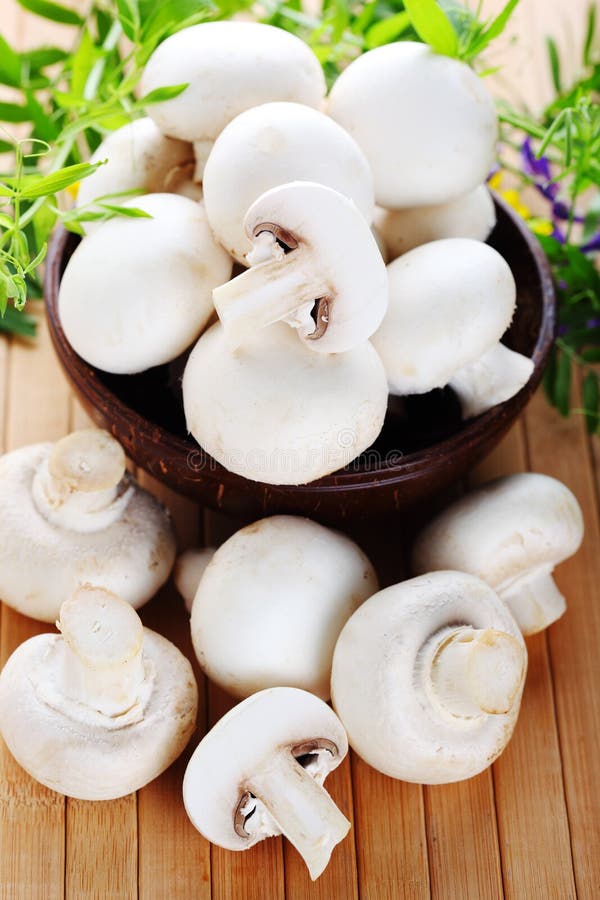 Fresh mushrooms stock image. Image of meal, cooking, food - 15104983