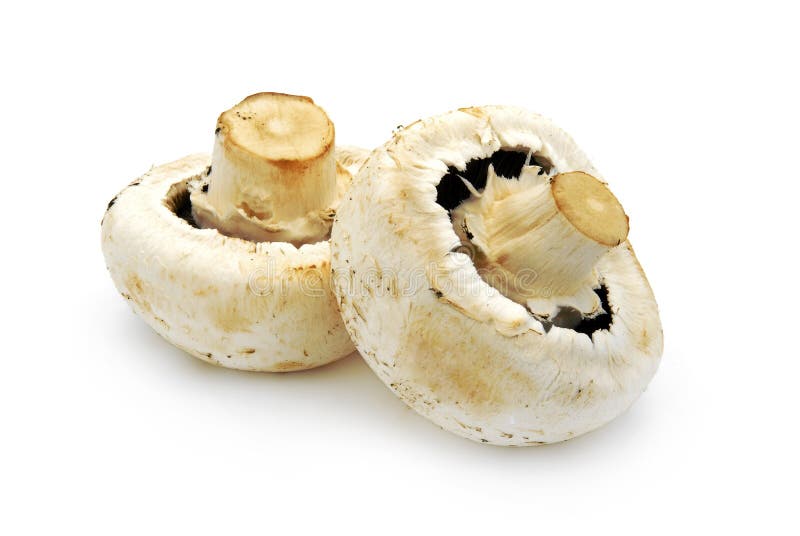 Fresh mushrooms stock image. Image of vegetarian, vegetable - 18161625