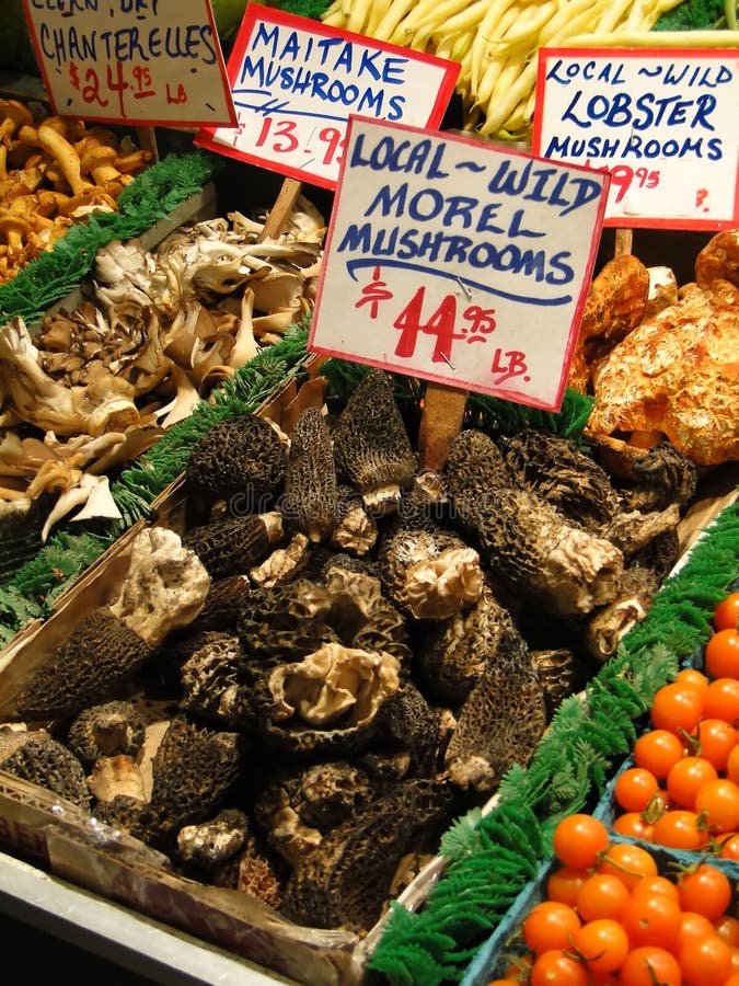 Fresh mushrooms stock image. Image of morels, seattle - 20987315