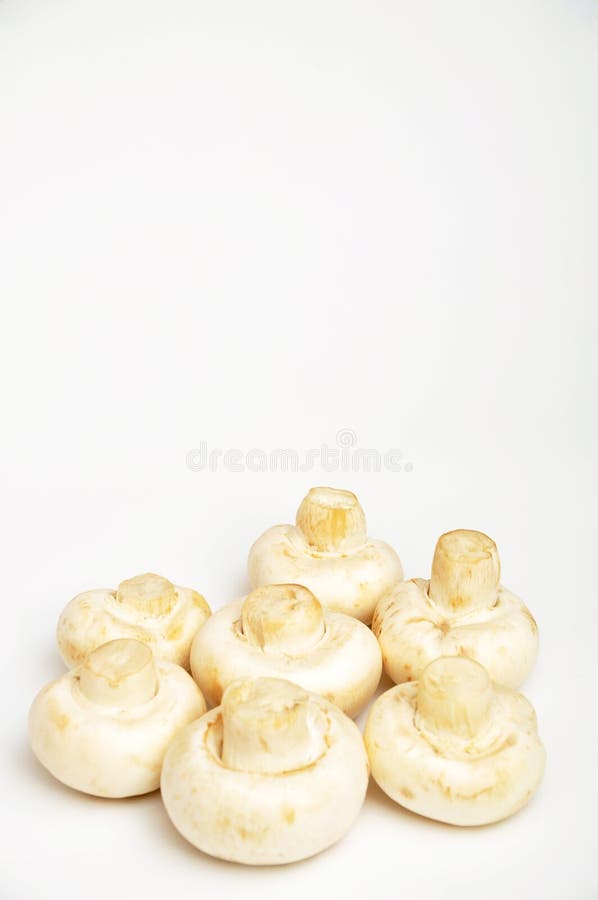 Fresh mushrooms stock image. Image of health, leaves - 21872047