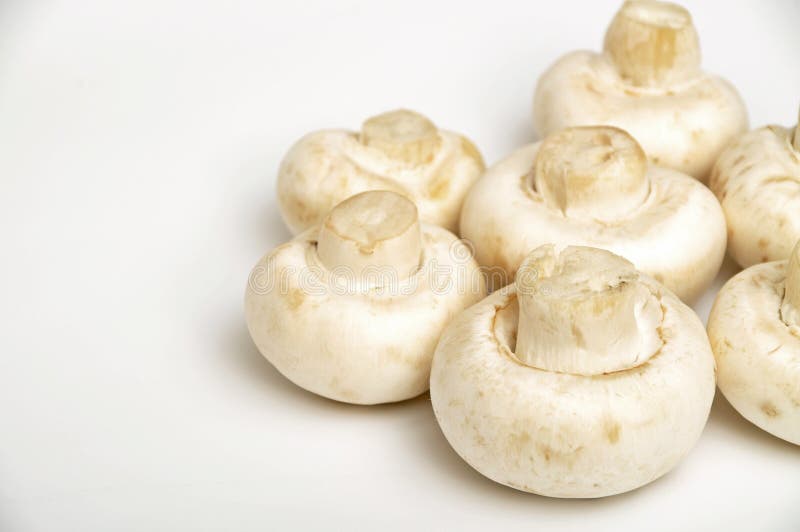 Fresh mushrooms stock photo. Image of kitchen, leaves - 23453804