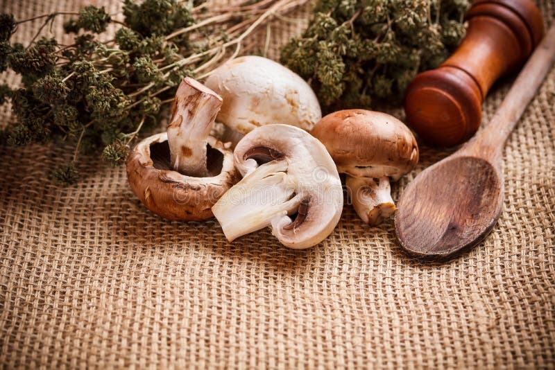 Fresh mushrooms stock photo. Image of healthy, fungus - 27820486