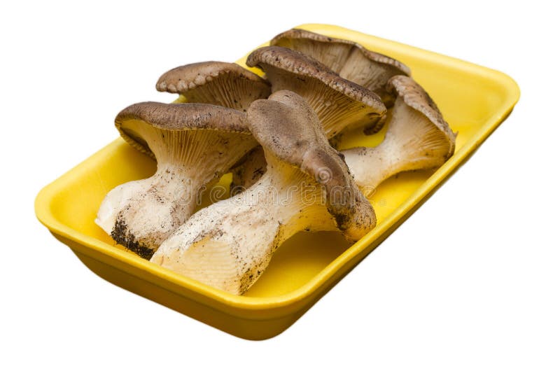 Fresh mushrooms stock image. Image of mushroom, market - 28124969