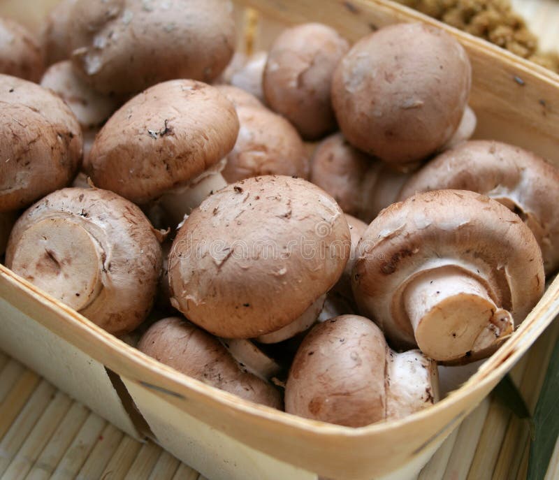 Fresh mushrooms closeup stock image. Image of full, food - 34089347