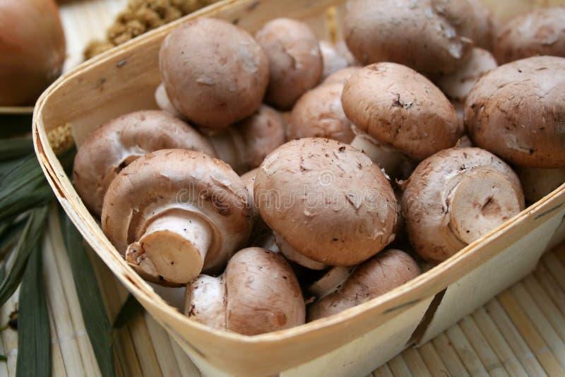 Fresh mushrooms stock image. Image of vitamins, mushroom - 7589763