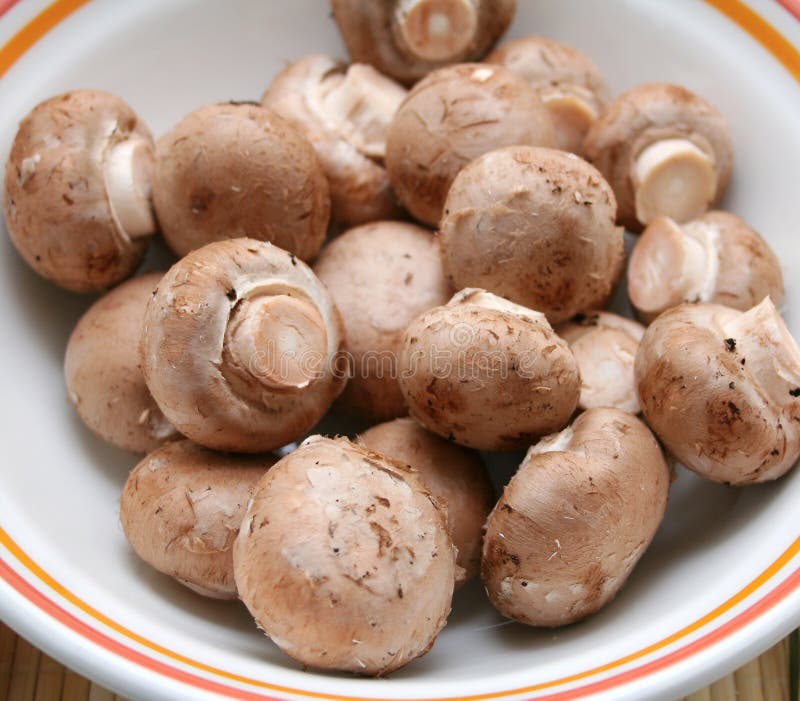Fresh mushrooms stock image. Image of vitamins, agaricomycetes - 7589771