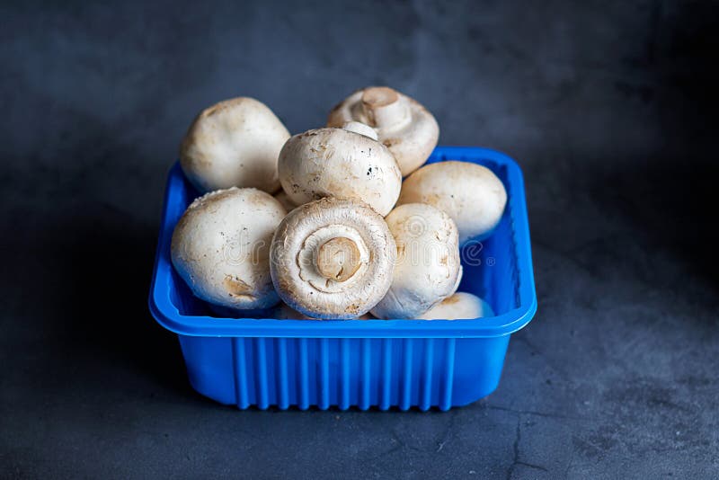 Fresh Mushrooms in Blue Plastic Box on Grey Background Stock Photo ...