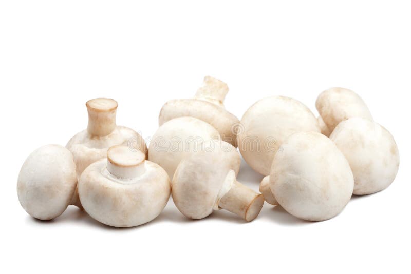 Fresh mushrooms isolated stock image. Image of harvest - 15856639