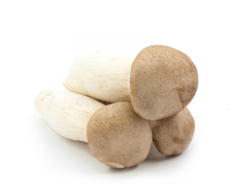 Fresh mushrooms stock photo. Image of healthful, ingredient - 77751894