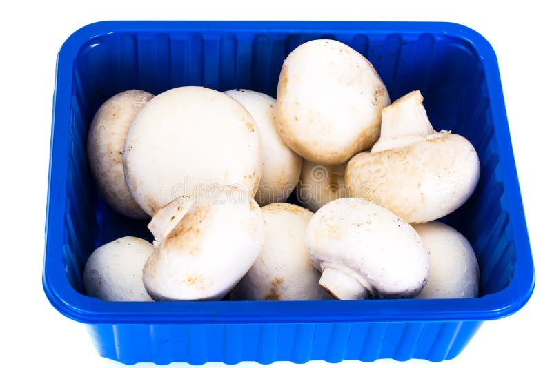 408 Fresh Mushrooms Packaging Box Stock Photos - Free & Royalty-Free ...