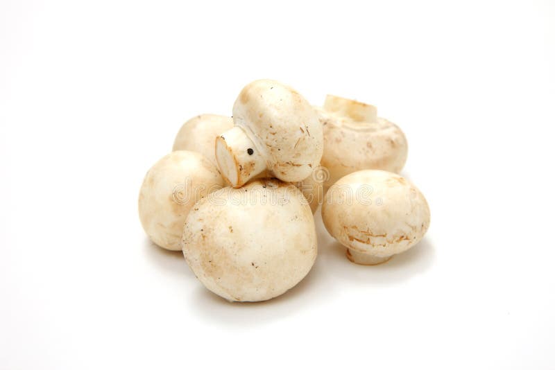 Fresh mushrooms stock image. Image of close, uninhabited - 44302003
