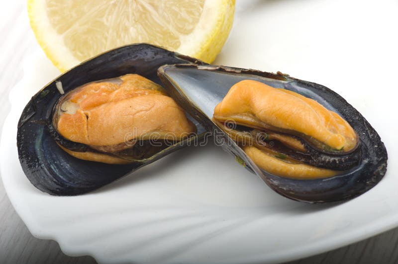 Fresh mussel cooked stock photo. Image of meal, gastronomy - 73923562