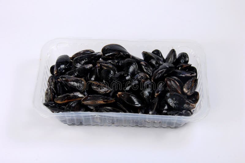 Fresh Mussel Isolated on White Background Stock Image - Image of white ...