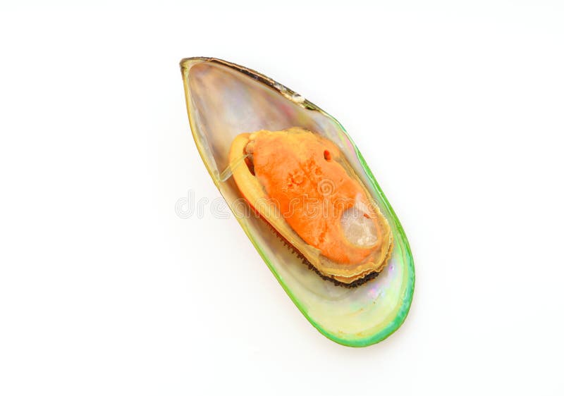 Fresh Mussel on White Background . Stock Photo - Image of meal ...