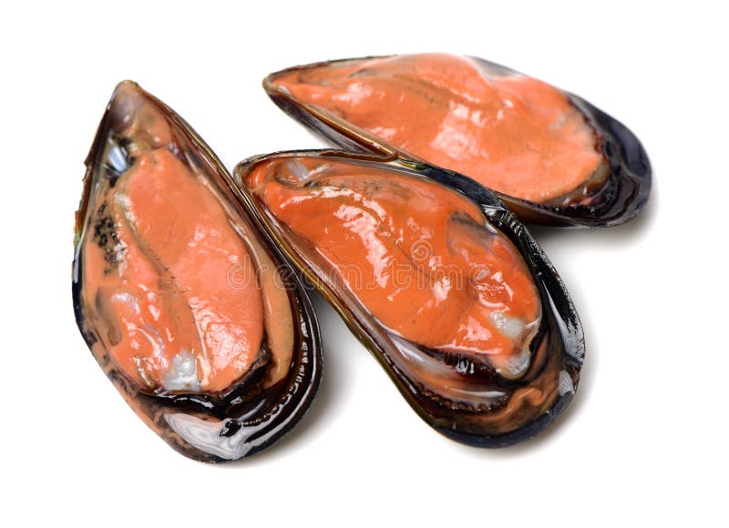 Fresh mussel stock image. Image of closeup, gourmet - 141226927