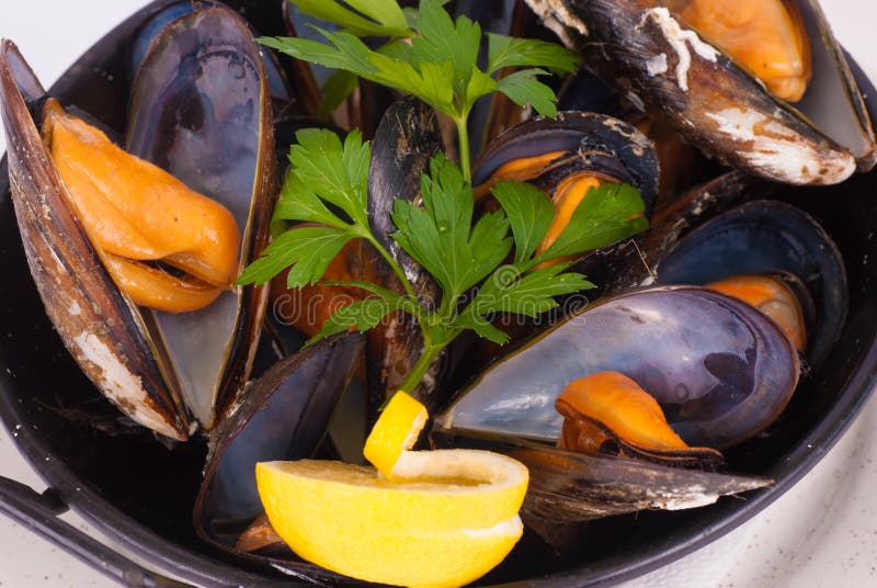 Fresh mussels stock image. Image of appetizer, cuisine - 27732715