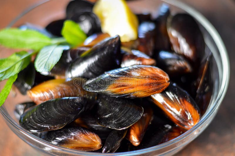 Fresh mussels stock image. Image of fresh, emon, black - 83538473