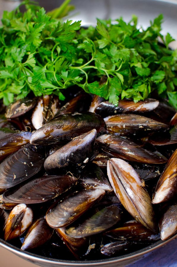 Fresh Mussels With Ingredients For Cooking On Rustic Background, Top ...