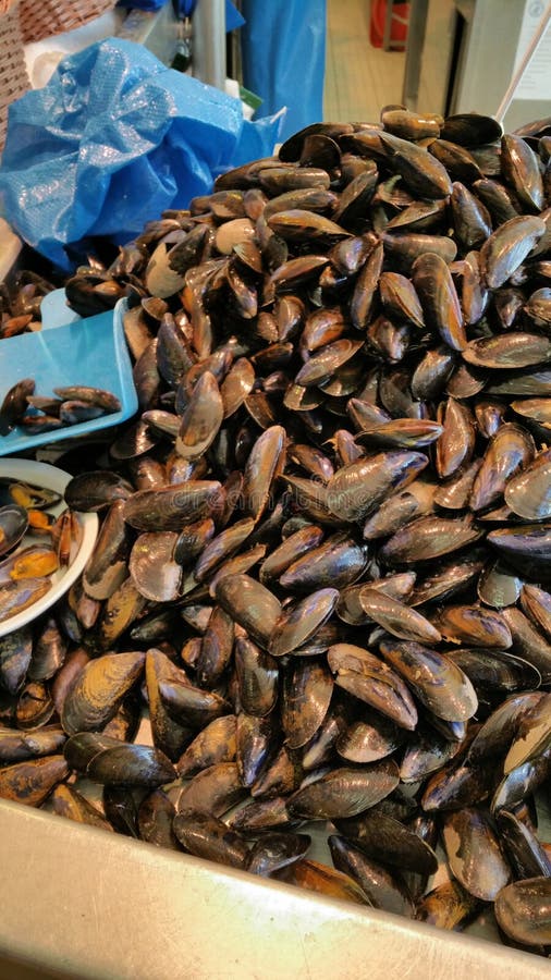 Fresh Mussels Piled High in Fish Market Stall Stock Image - Image of ...