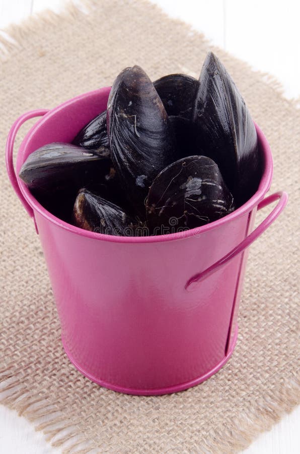 Fresh Mussels in a Pink Bucket Stock Photo - Image of dirty, rustic ...