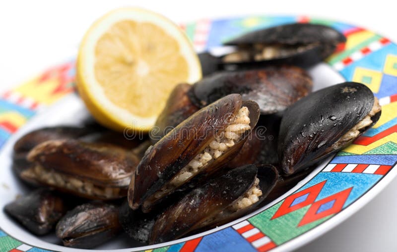 Fresh mussels on plate stock photo. Image of isolated - 4423184
