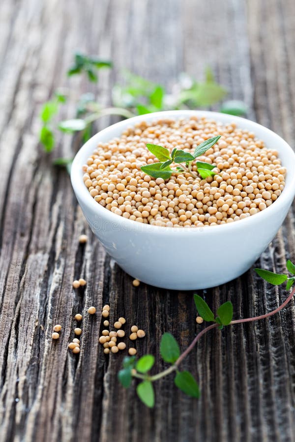 Fresh mustard seeds stock image. Image of seeds, thymian - 30619773