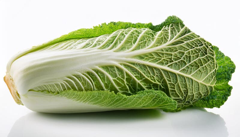 Fresh Napa Cabbage editorial photo. Illustration of harvest - 331263746