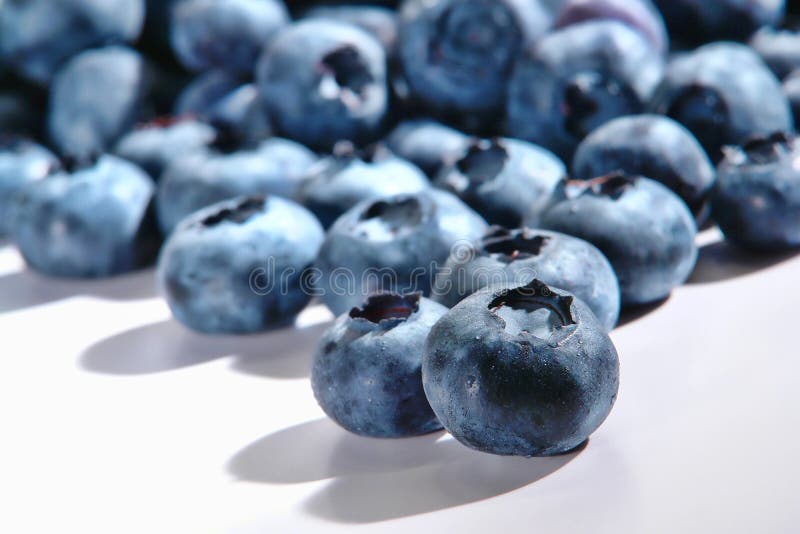 Fresh and Natural Blueberries Close Up on White Stock Image - Image of ...