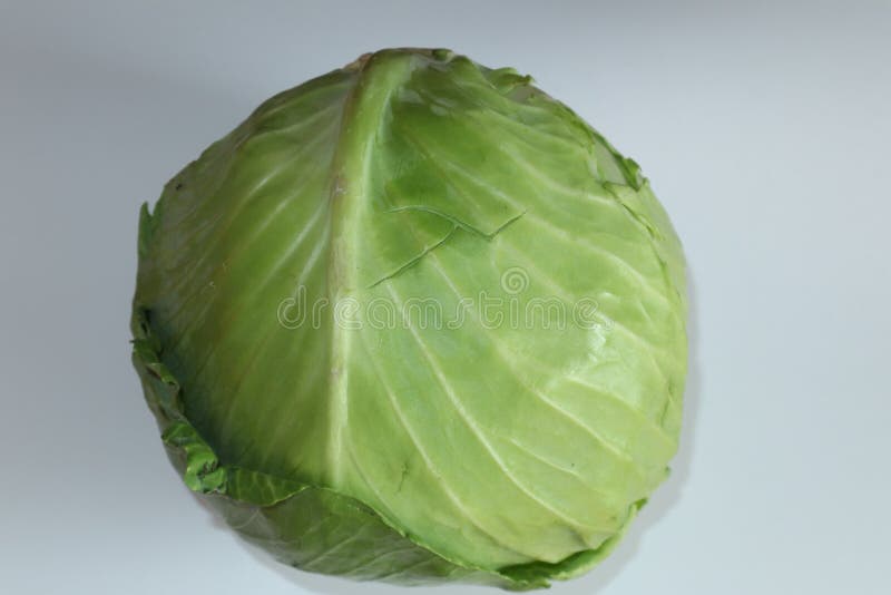 This is Fresh and Natural Cabbage Stock Image - Image of protein, cabb ...