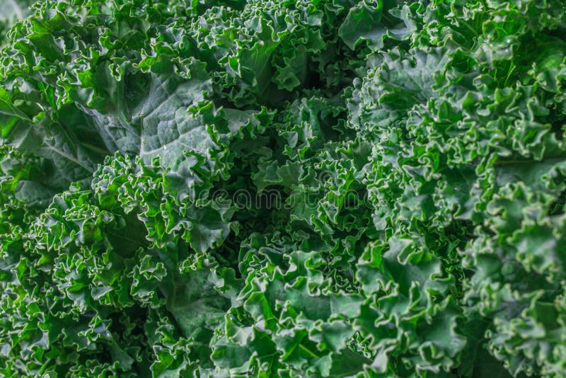 Fresh Natural Curly Vegetable Stock Image - Image of food, concepts ...