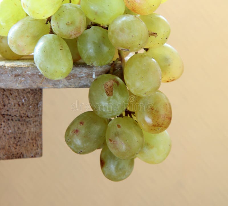 Fruit grape stock photo. Image of grape, ripe, fresh - 249618186
