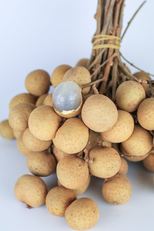 Fresh Natural Longan Fruits Isolate White Background Dimocarpus Stock ...